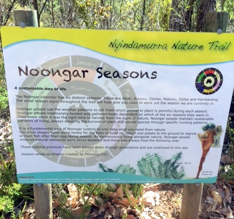 Bunuru Season At MRIS! - Margaret River Independent School